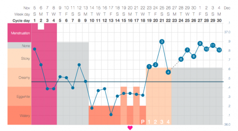 What Is The Calendar Method? And Why Is It Still So Popular ...