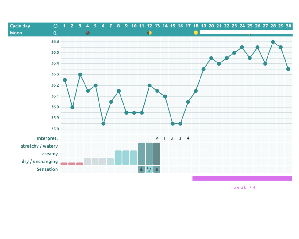 What Is The Sympto Thermal Method? - Wonderful Within